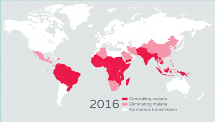 Global push to eradicate malaria boosted by $29M grant | University of ...