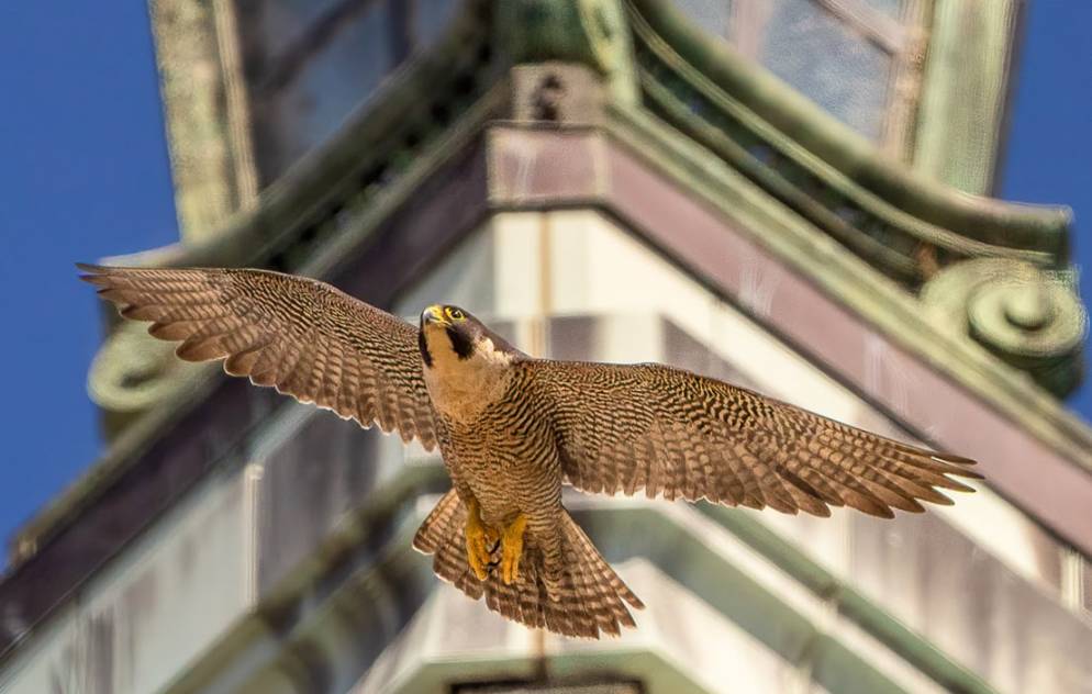 Home | University of California