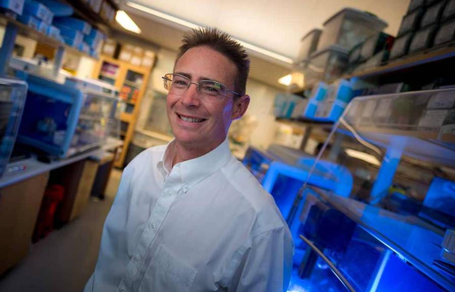 Research | University of California