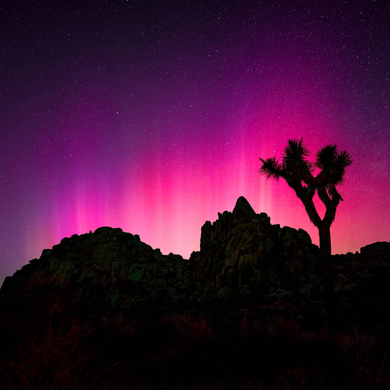 Calculating how fast Usain Bolt can run | University of California