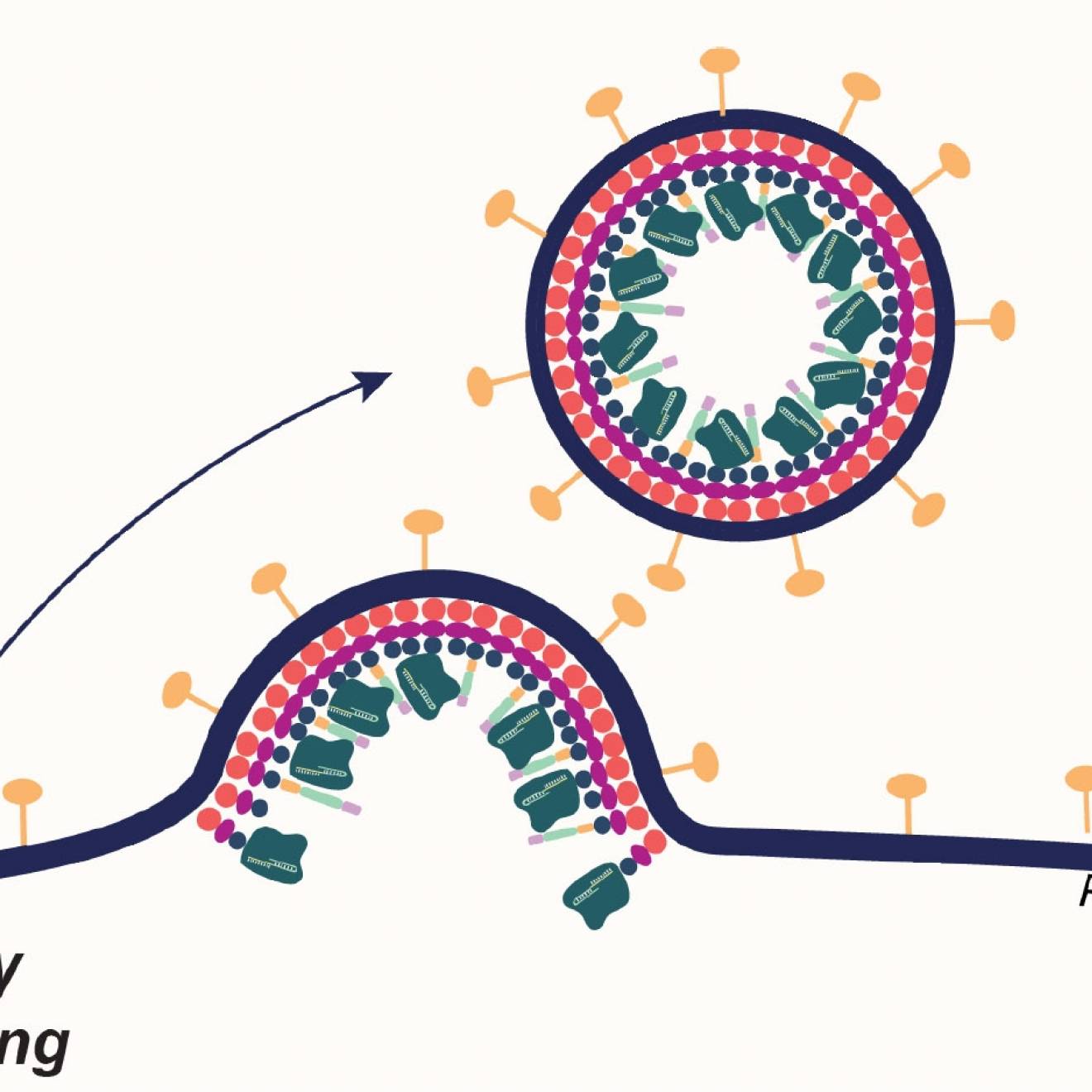 Stereotypes persist that class, privilege determine intellect, success ...
