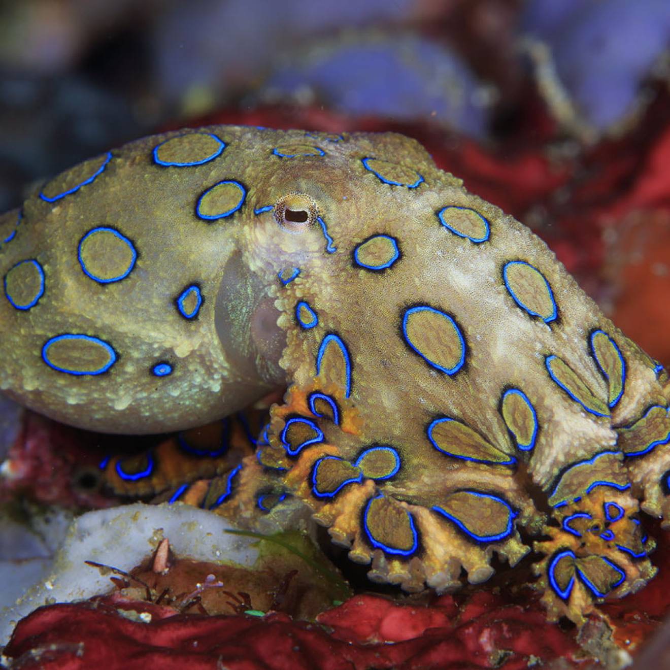 The giving season | University of California