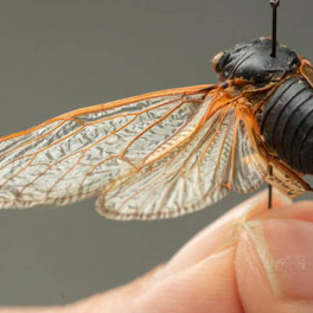 8.3 billion metric tons of plastic ... and counting | University of ...