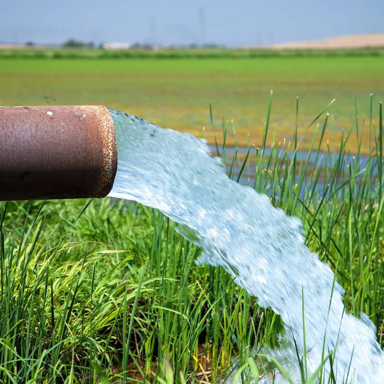 Aztec and Maya civilizations are household names — but it’s the Olmecs who are the ‘mother ...